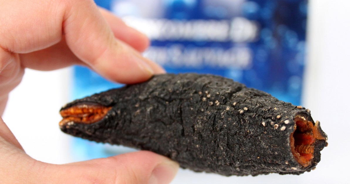 Votre prochaine découverte : le concombre de mer du Québec | Produit à ...