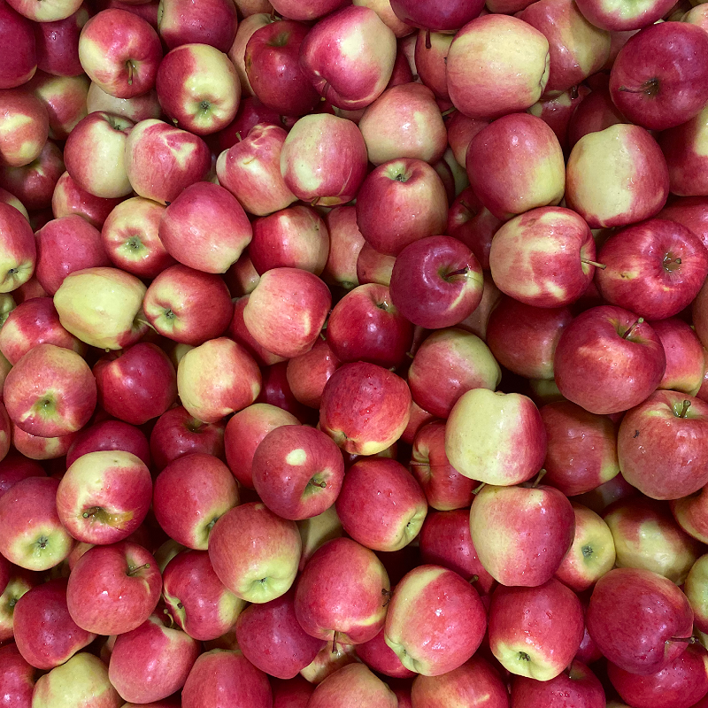 La culture de pommes au Québec, depuis 1617 | Bon à savoir | Blogue ...