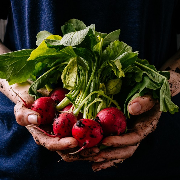 Five Surprising Facts About Local Organic Food | Organic | Discover ...