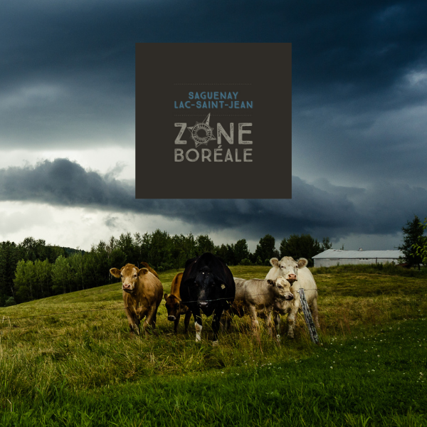 Bienvenue dans la Zone boréale | Top | Blogue | Aliments du Québec