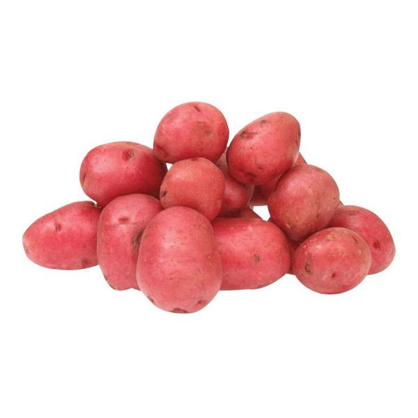 Patate rouge | Ferme Degau | Aliments du Québec