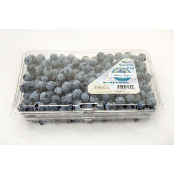 Bleuets sauvages frais | Bleuet Royal | Aliments du Québec