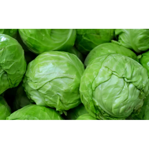 Chou vert, chou savoie, chou rouge | Les Fermes Serbi inc | Aliments du ...