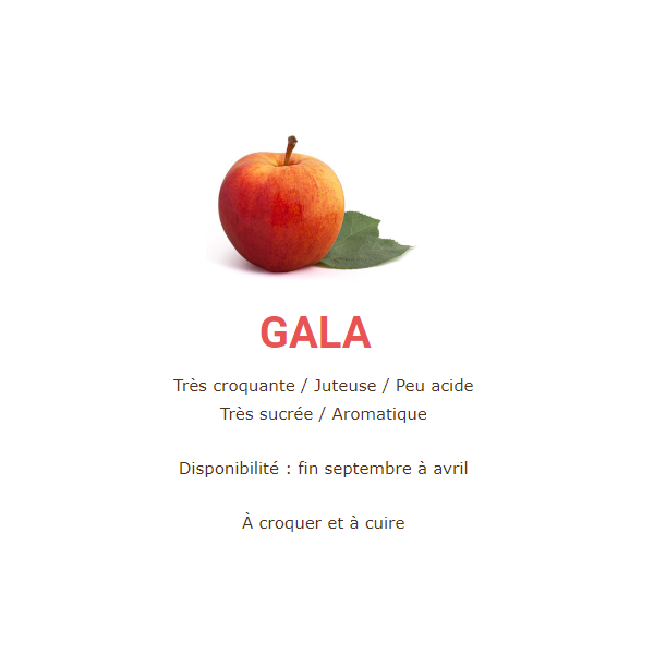Pommes gala | Verger rouge pomme inc. | Aliments du Québec