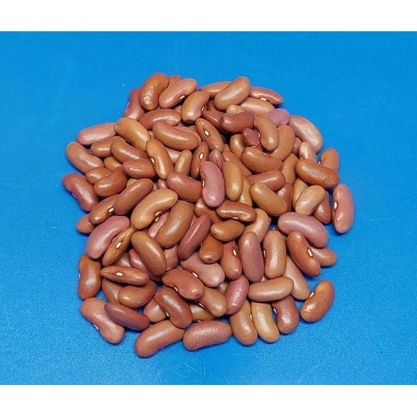 Haricots secs Rouges Pâles | Les grains Haribec | Aliments du Québec