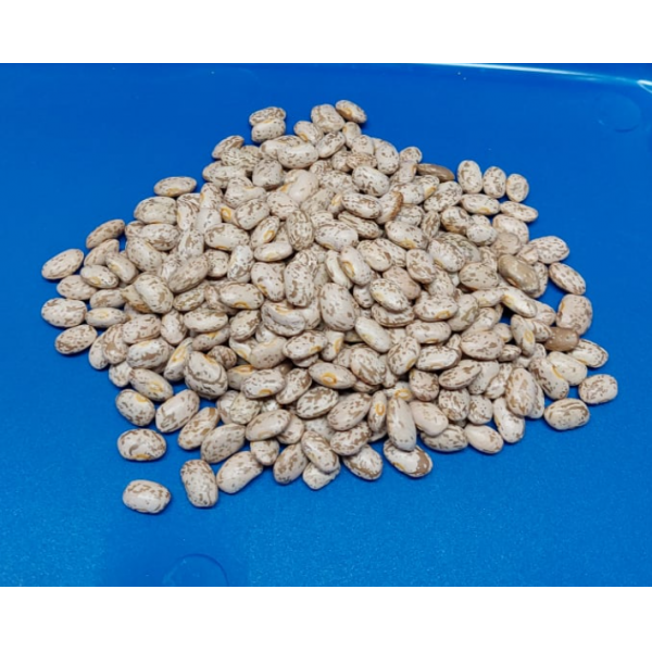 Haricots secs Pinto | Les grains Haribec | Aliments du Québec
