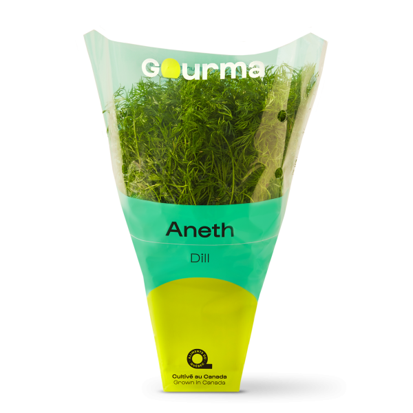 Plant d'aneth | LES SERRES GOURMA INC. | Aliments du Québec