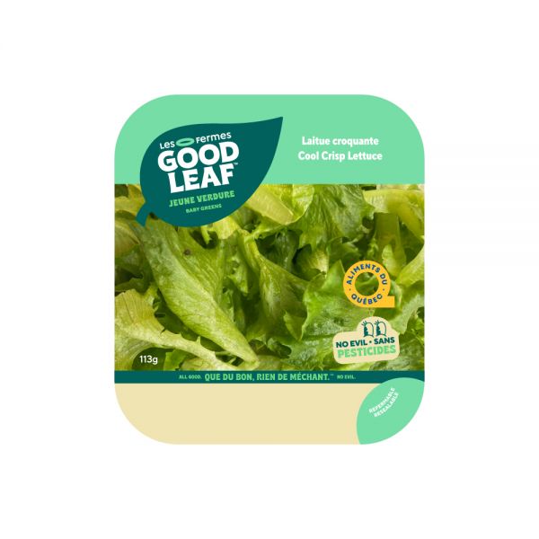 Laitue croquante | Truleaf Sustainable Agriculture Limited | Aliments ...
