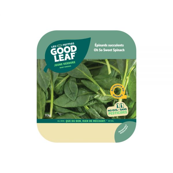 Épinards succulents | Truleaf Sustainable Agriculture Limited ...