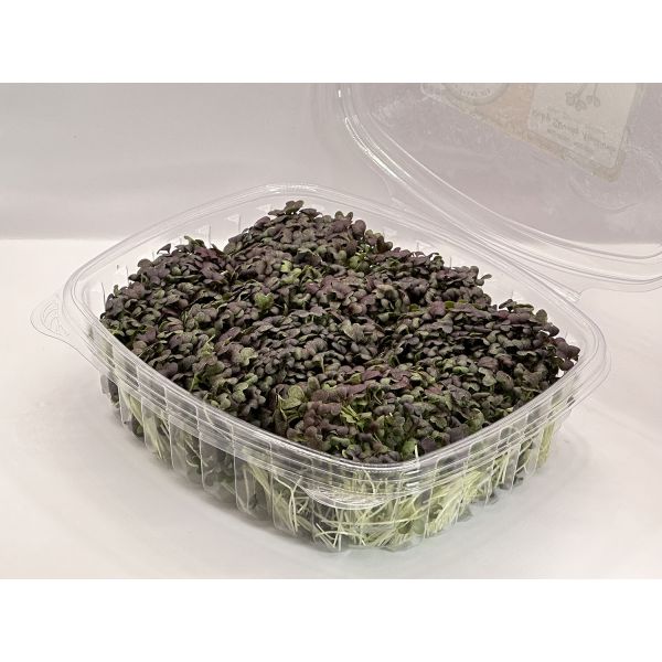 Ruby Streaks Mutarde | Casa Verde Micro Ferme | Aliments du Québec