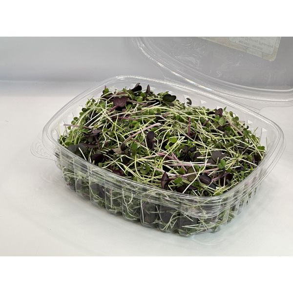 Mélange d’épices poivrées | Casa Verde Micro Ferme | Aliments du Québec