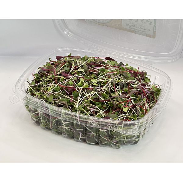 Mélange du Chef | Casa Verde Micro Ferme | Aliments du Québec