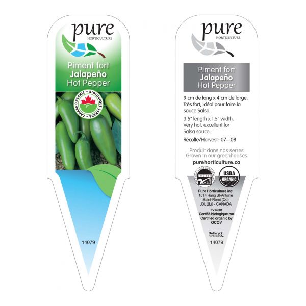 PIMENT FORT JALAPENO BIOLOGIQUE EN POT | Pure Horticulture inc ...
