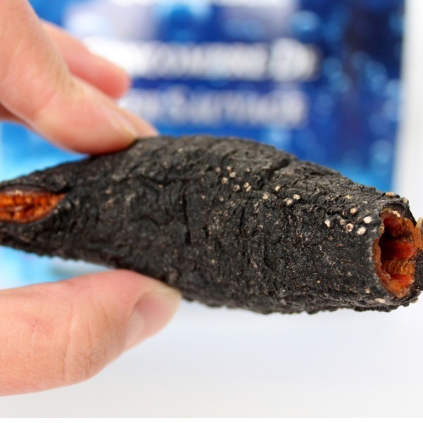 Votre prochaine découverte : le concombre de mer du Québec | Produit à ...