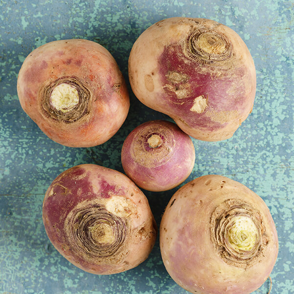 Rutabaga Vs Turnip